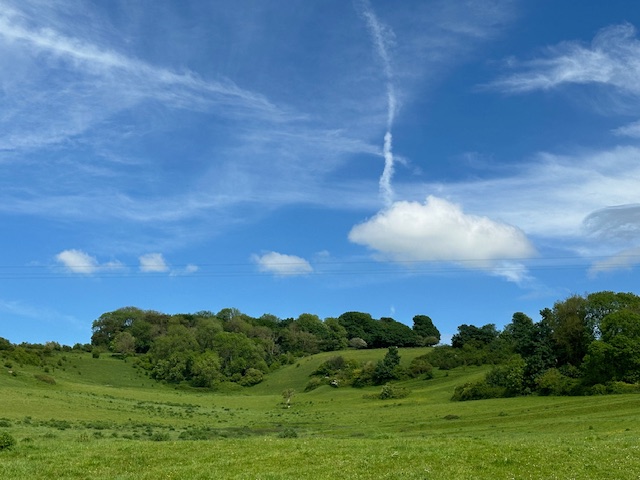 What’s on – Piddle Valley News and Views