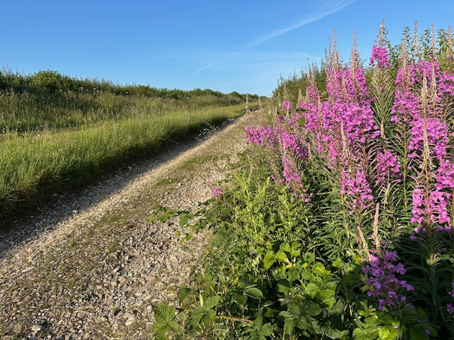 What’s on – Piddle Valley News and Views